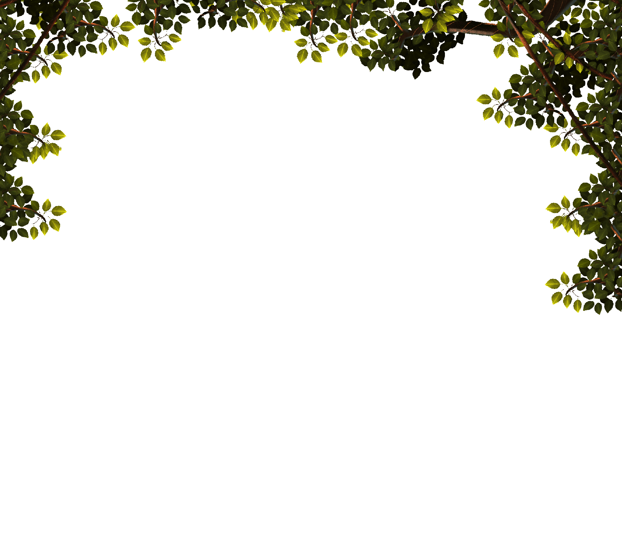 Teacher assigns exercises,